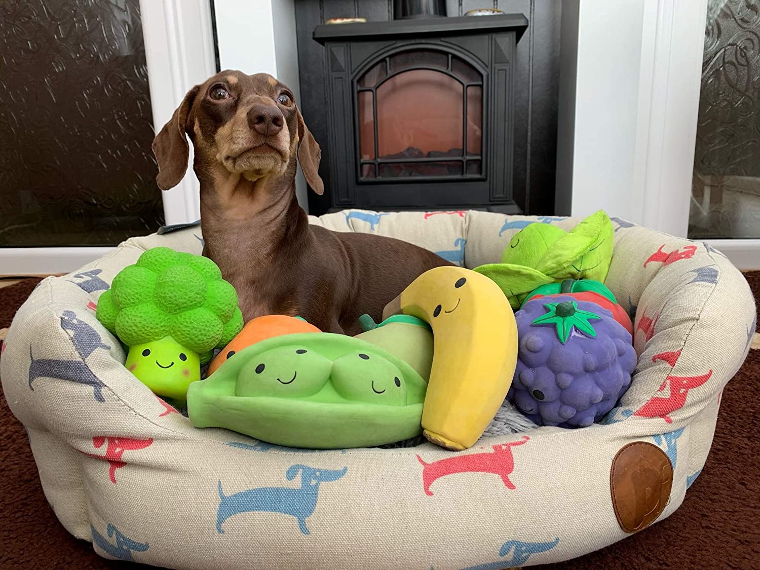 Best Puppy Chew Toys 2021 (Guide Updated May 2021)